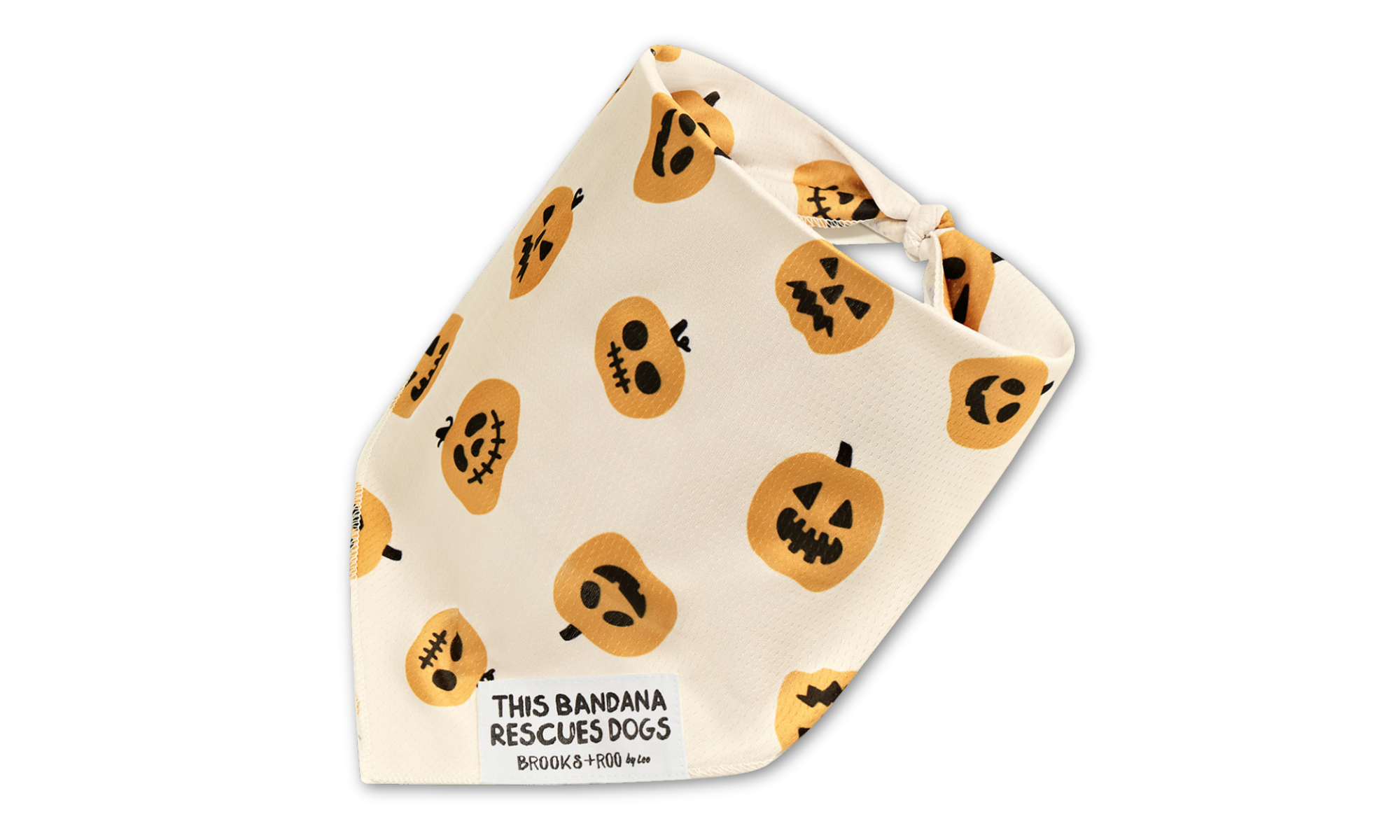 Pumpkin Patch – Brooks & Roo
